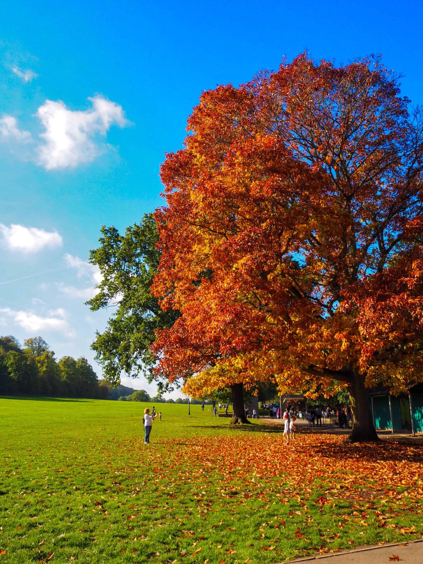 Easy family-friendly autumn walks in Bristol