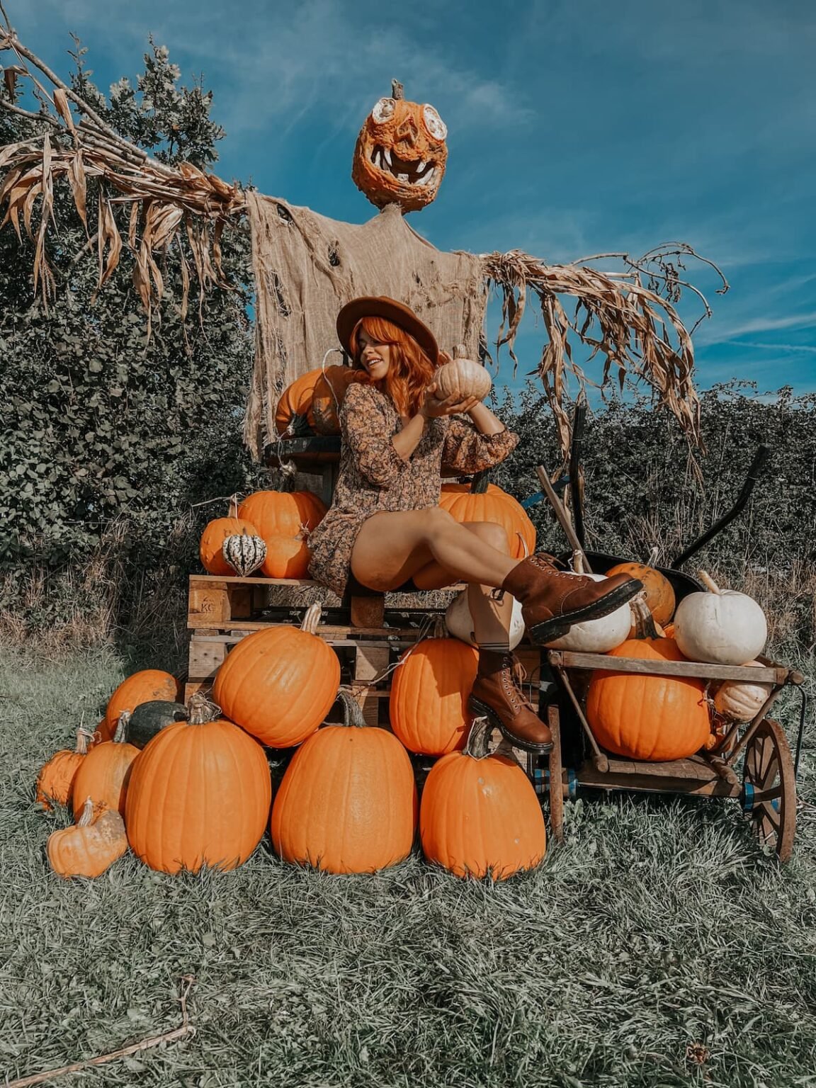 15 best patches for pumpkin picking Bristol - This Bristol Brood