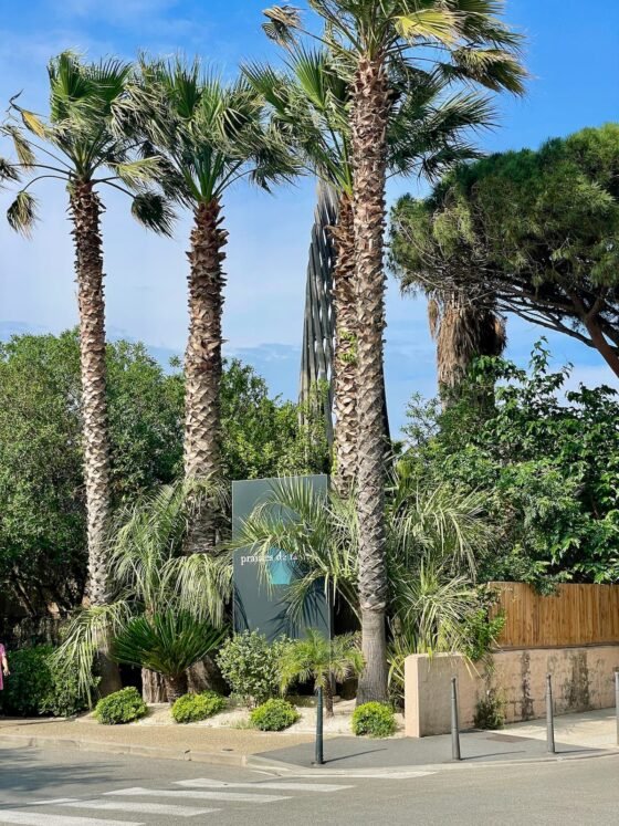 Les Prairies de la Mer: Port Grimaud camping REVIEW