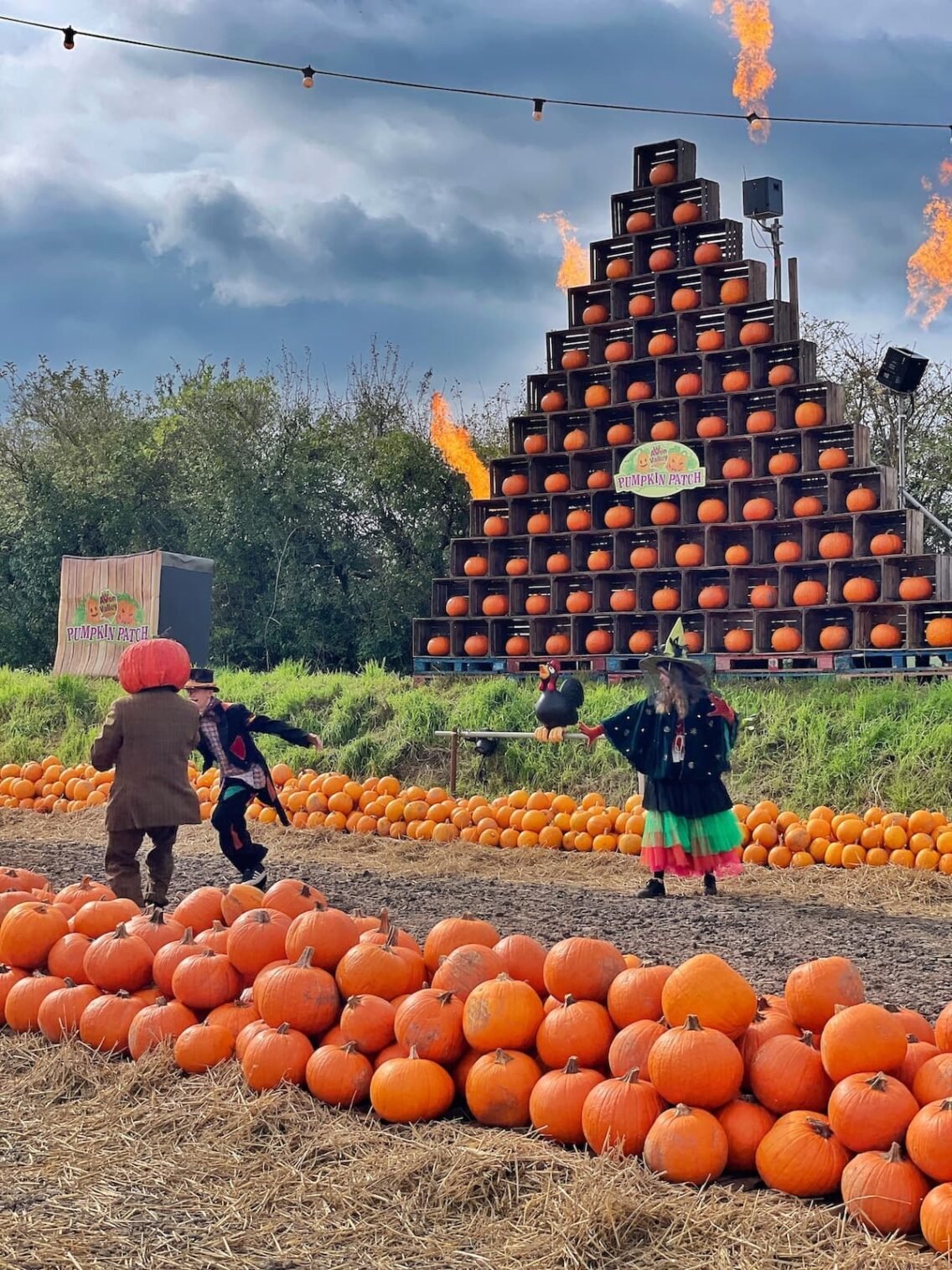 15 best patches for pumpkin picking Bristol - This Bristol Brood