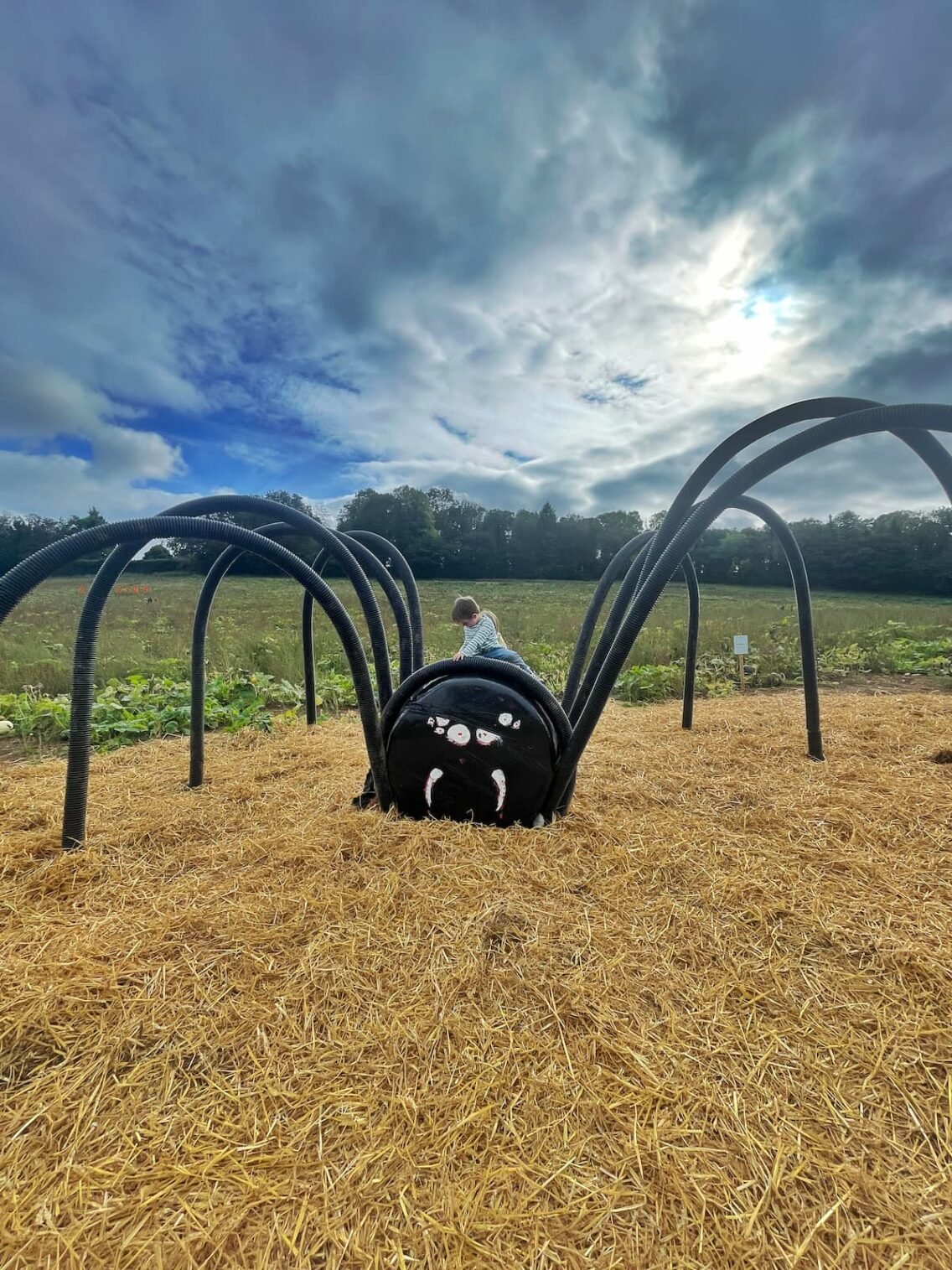 15 best patches for pumpkin picking Bristol - This Bristol Brood